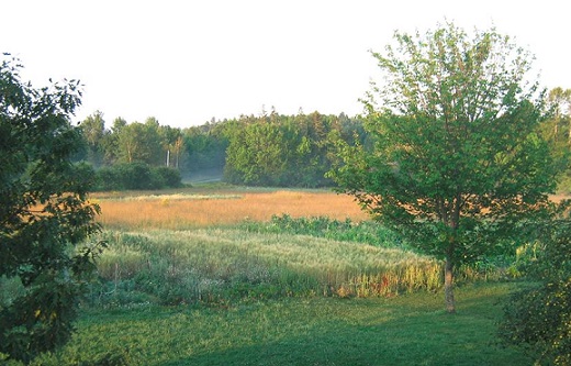 Contact Information- The Farr Homestead